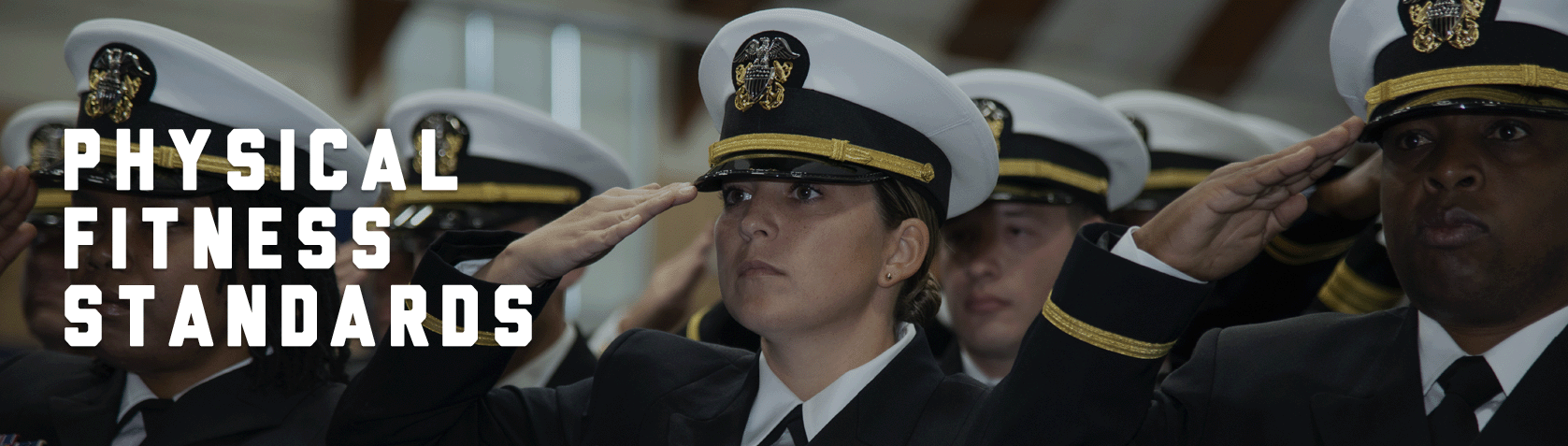 ODS Physical Fitness Standards