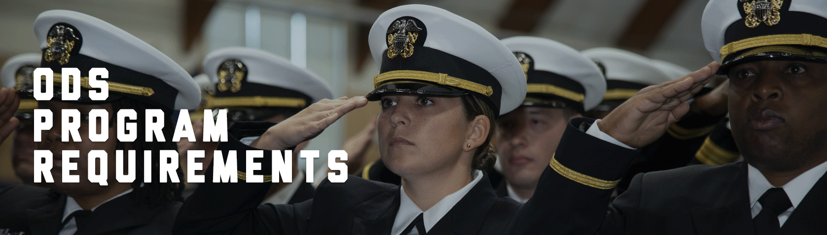 ODS Program Requirements